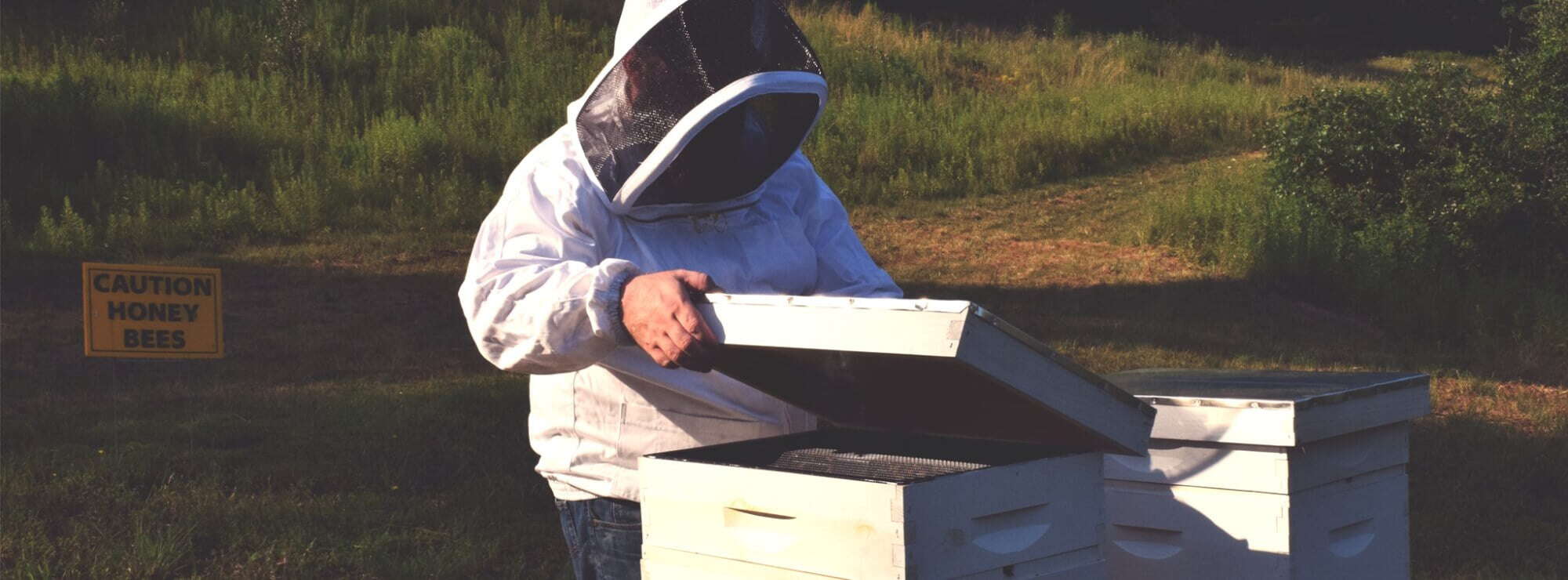 Our Story | Hive & Holler